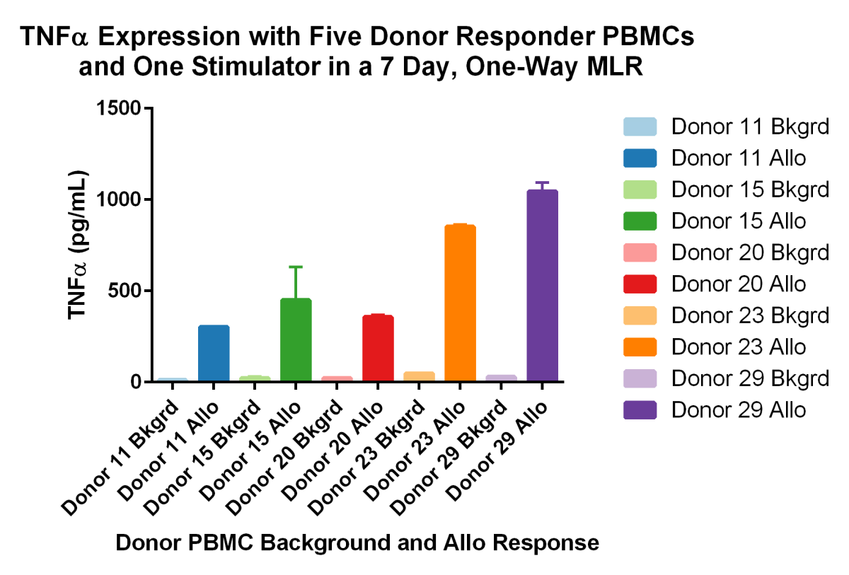 Mixed Lymphocyte Reactions | Mixed Lymphocyte Reaction