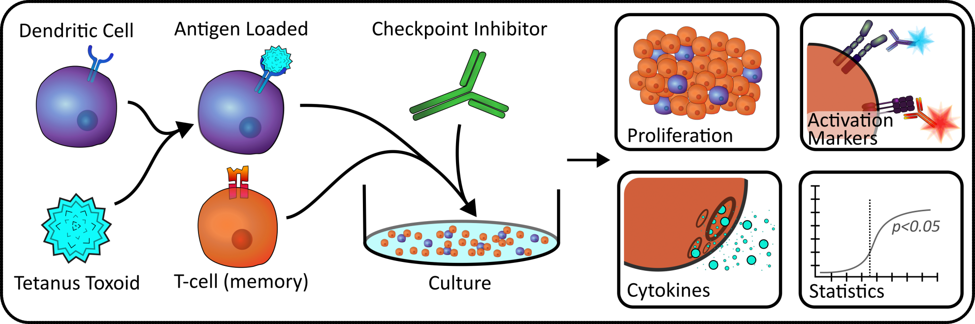 Recall Antigen Assay | I-O | Xeno Diagnostics